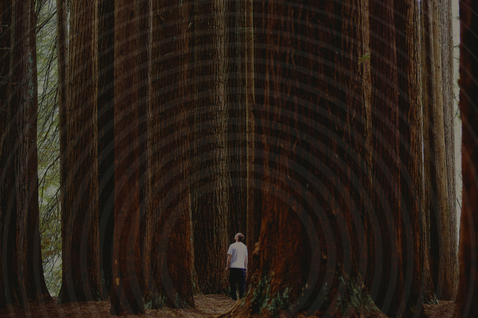 Oradian | Cloud Core Banking System